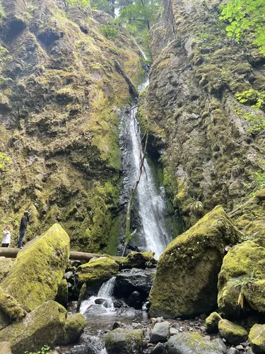 Best Hikes and Trails in Cascadia State Park | AllTrails