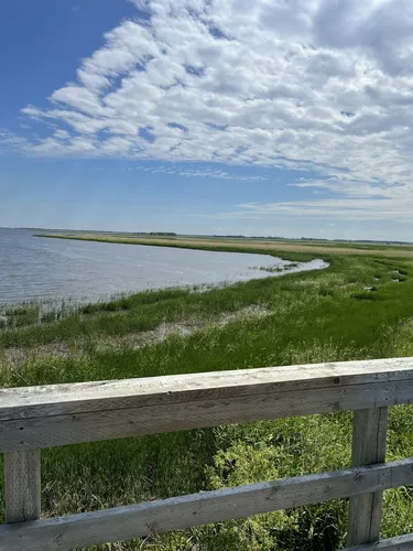 Best Hikes and Trails in Delta Marsh Wildlife Management Area | AllTrails