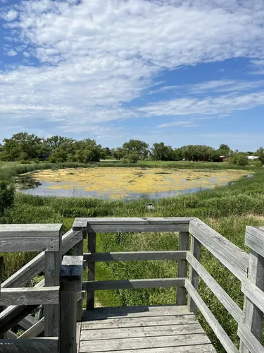 Best Hikes and Trails in Delta Marsh Wildlife Management Area | AllTrails