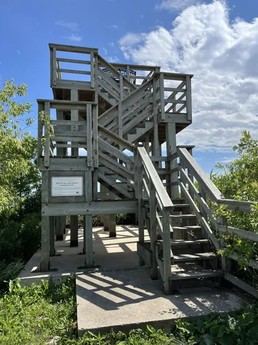 Best Hikes and Trails in Delta Marsh Wildlife Management Area | AllTrails