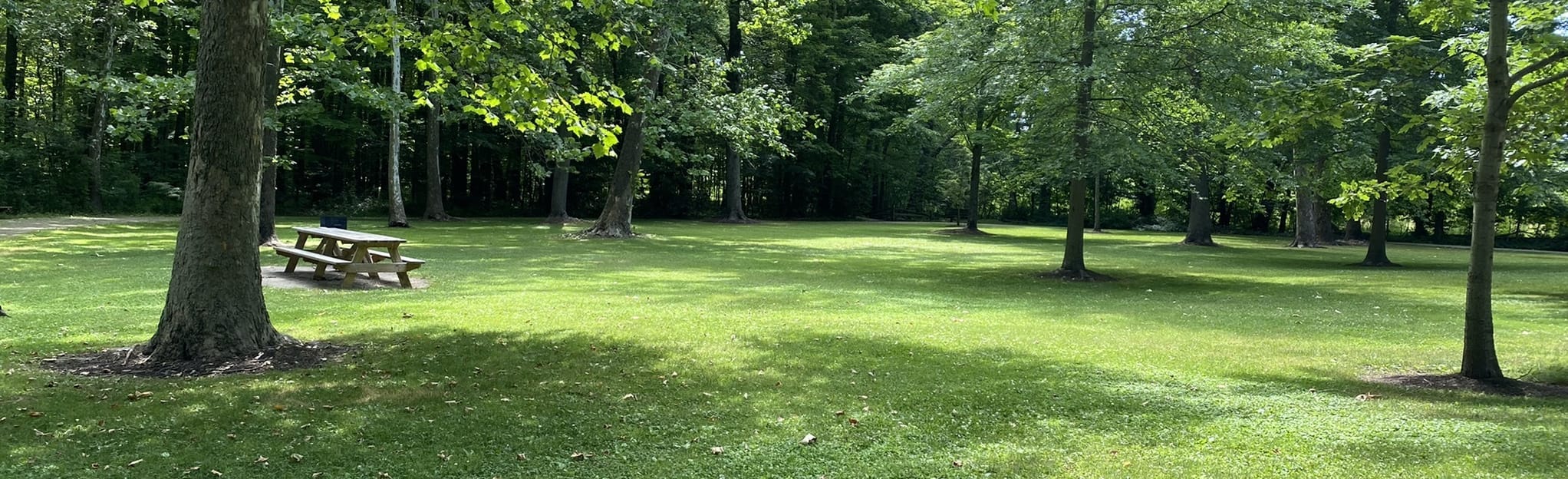 Hemlock Ridge Loop Trail, Ohio - 99 Reviews, Map | AllTrails