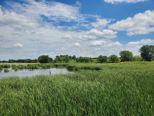 Best Hikes and Trails in Lower Gar State Recreation Area | AllTrails