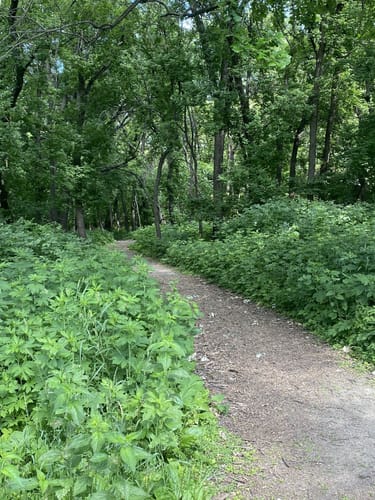 2023 Best 10 Trails and Hikes in Fargo | AllTrails