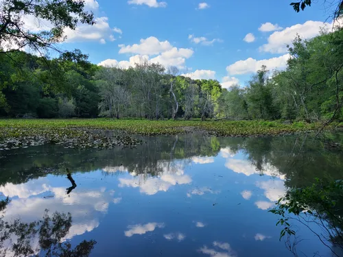 10 Best Trails and Hikes in Athens | AllTrails