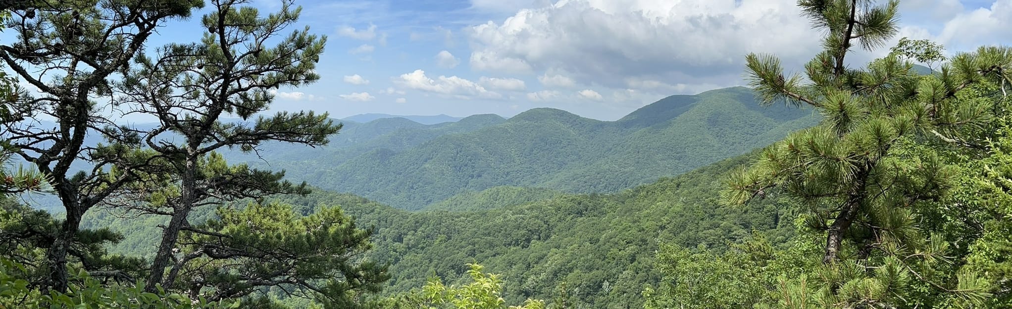 Heartbreak Ridge via Star Gap Trail: 219 Reviews, Map - North Carolina ...
