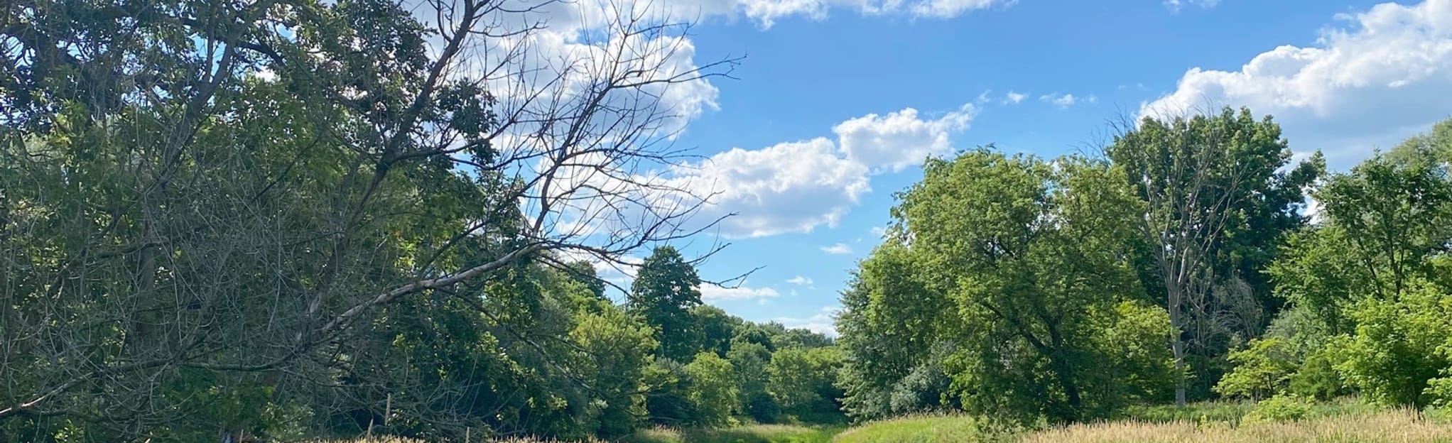 Health Valley Trail : 338 foto's - Ontario, Canada | Wandelen - AllTrails