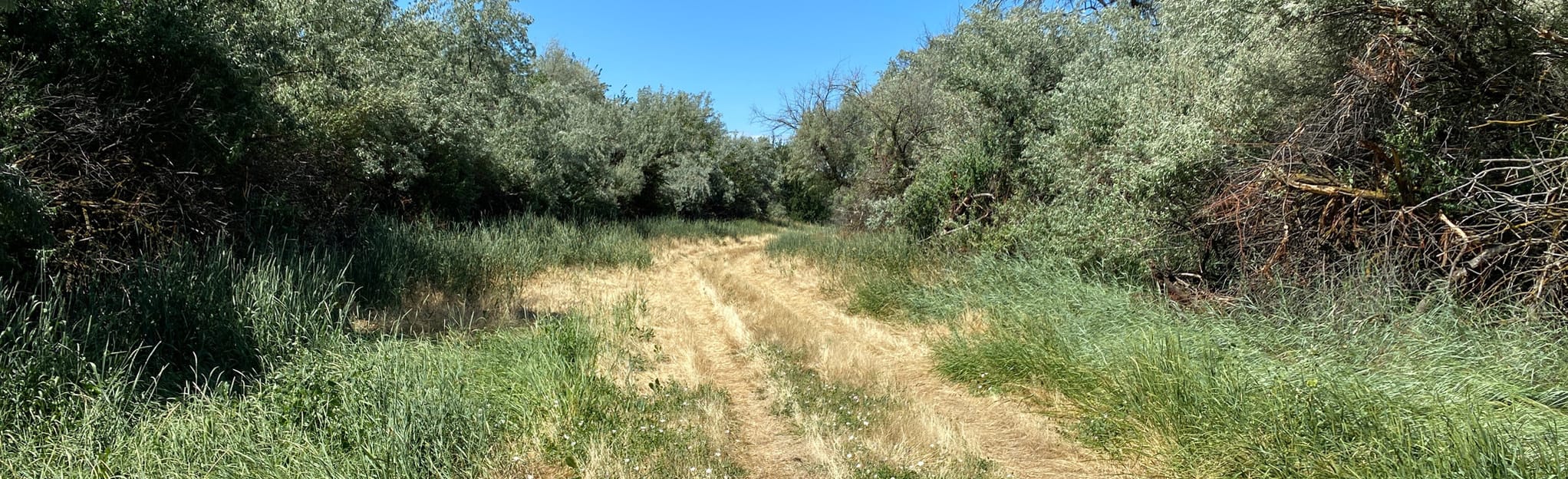 Yakima Delta Loop, Washington - 13 Reviews, Map | AllTrails