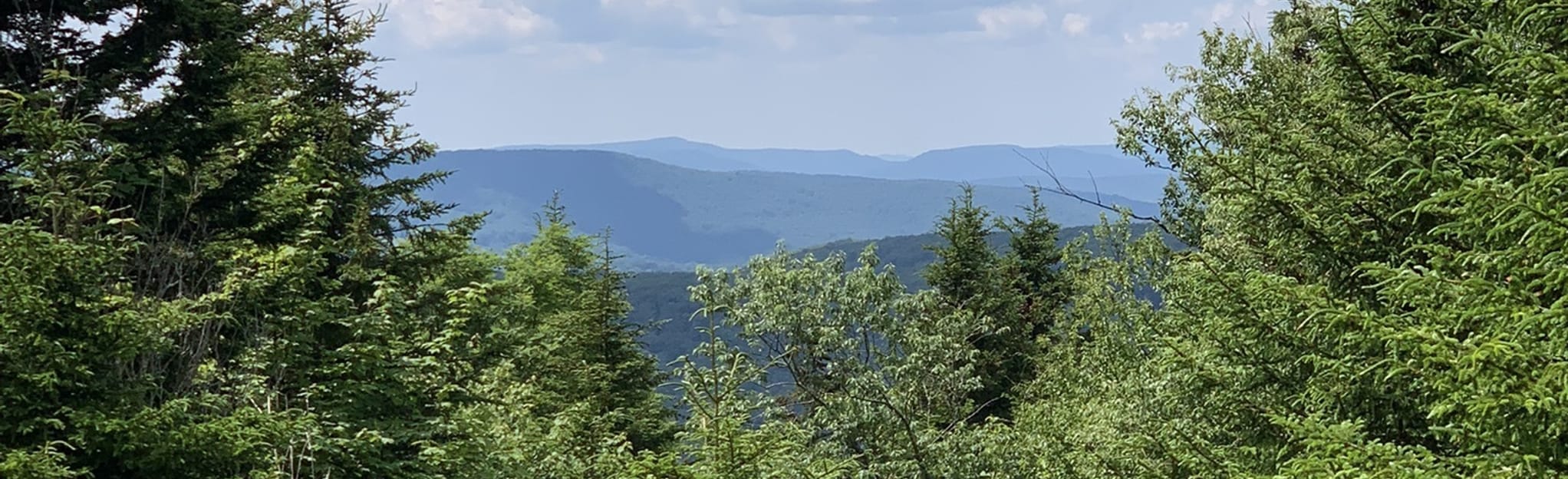 Huckleberry Trail, West Virginia - 192 Reviews, Map | AllTrails