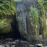 Stephens' Falls Trail, Wisconsin - 189 Reviews, Map | AllTrails