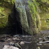 Stephens' Falls Trail, Wisconsin - 189 Reviews, Map | AllTrails