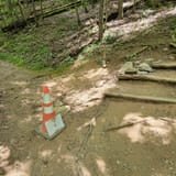 Lumber Ridge Trail, Tennessee - 211 Reviews, Map | AllTrails