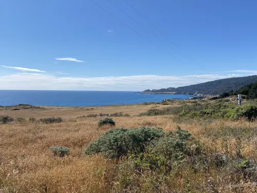 10 Best Hikes and Trails in Salt Point State Park | AllTrails