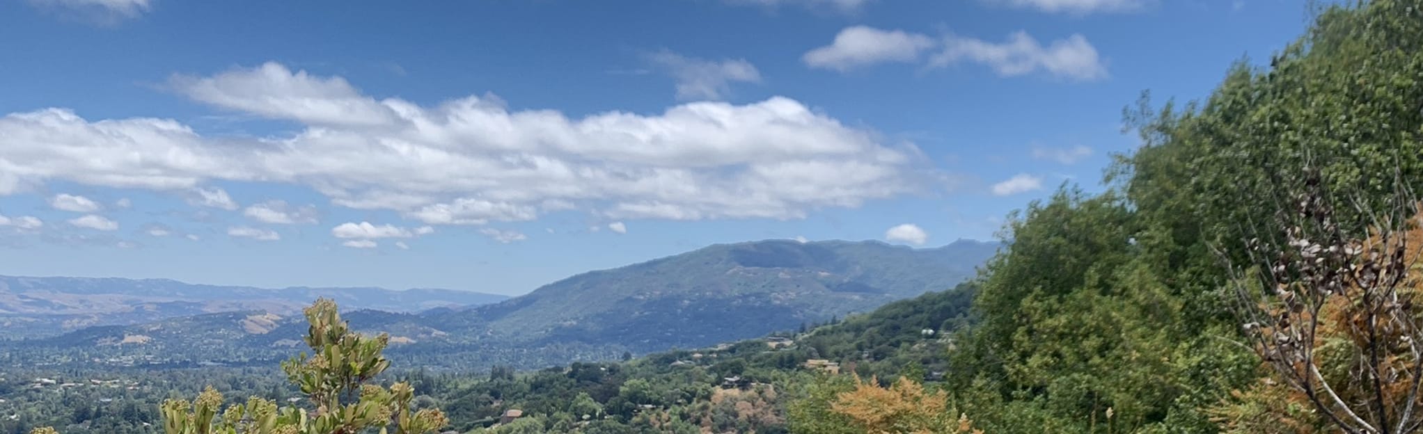 Redwood Trail to Lookout Point | Map, Guide - California | AllTrails