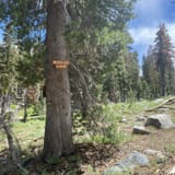 Round Lake Trail, California - 198 Reviews, Map | AllTrails