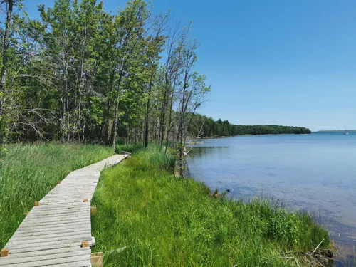 Best Forest Trails in Hope Bay Forest Provincial Nature Reserve | AllTrails
