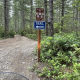 Tahuya River OHV Trail, Washington - 11 Reviews, Map | AllTrails