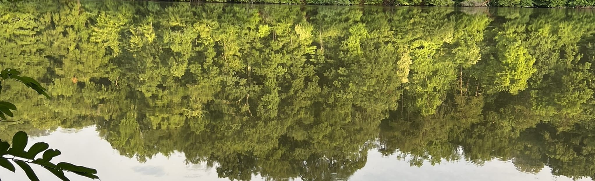 I.C. King Park Trails, Tennessee - 516 Reviews, Map | AllTrails