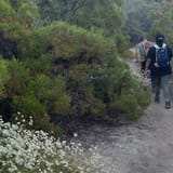 Barker Valley Spur Trail, California - 137 Reviews, Map | AllTrails