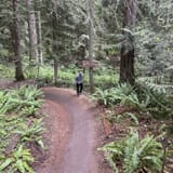 Duthie Mountain Bike Park Loop, Washington - 587 Reviews, Map | AllTrails