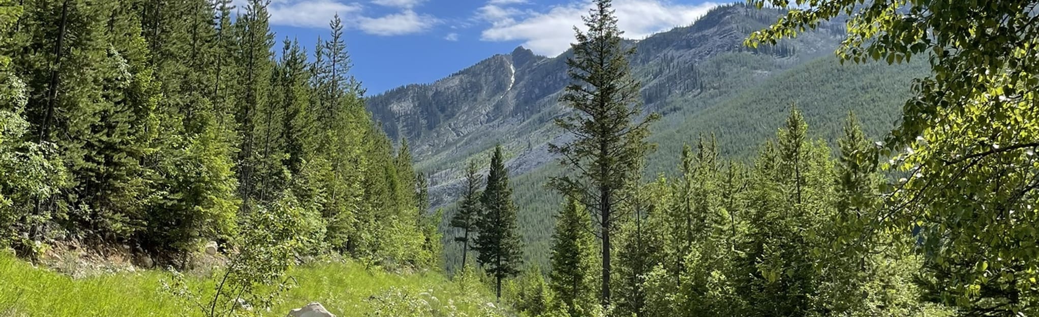 Shark Tooth Ridge - British Columbia, Canada | AllTrails