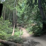 Tres Sendas Trail, California - 276 Reviews, Map | AllTrails