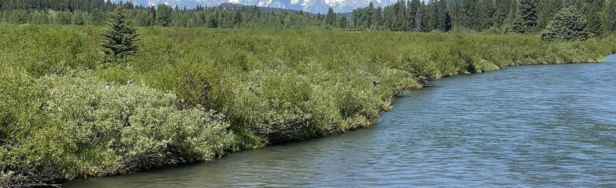 Turpin Meadow Ranch Full Circuit, Wyoming - 5 Reviews, Map | AllTrails