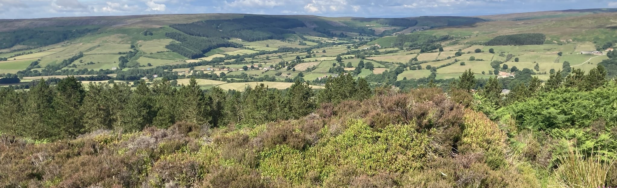 Urra and Cringle Moor Circular: 734 Fotos - North Yorkshire, England ...