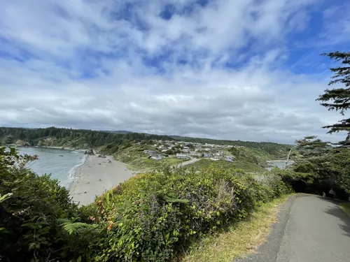 10 Best Trails and Hikes in Trinidad | AllTrails