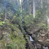 Gilbert Peak and Warm Lake Trail, Washington - 117 Reviews, Map | AllTrails