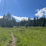 Gilbert Peak and Warm Lake Trail, Washington - 117 Reviews, Map | AllTrails