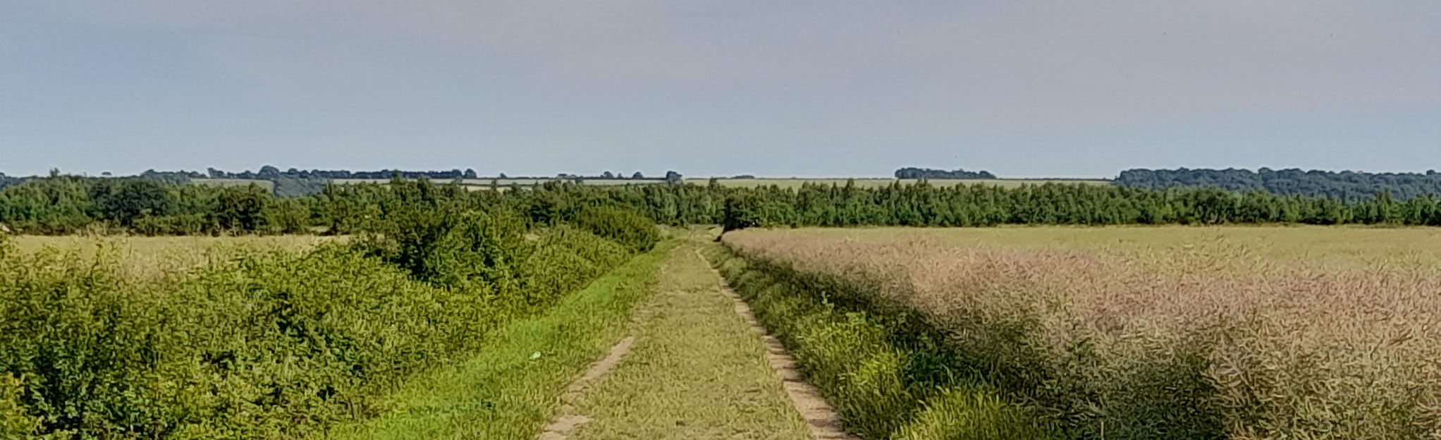 Shortstown Circular: 26 Reviews, Map - Bedfordshire, England | AllTrails