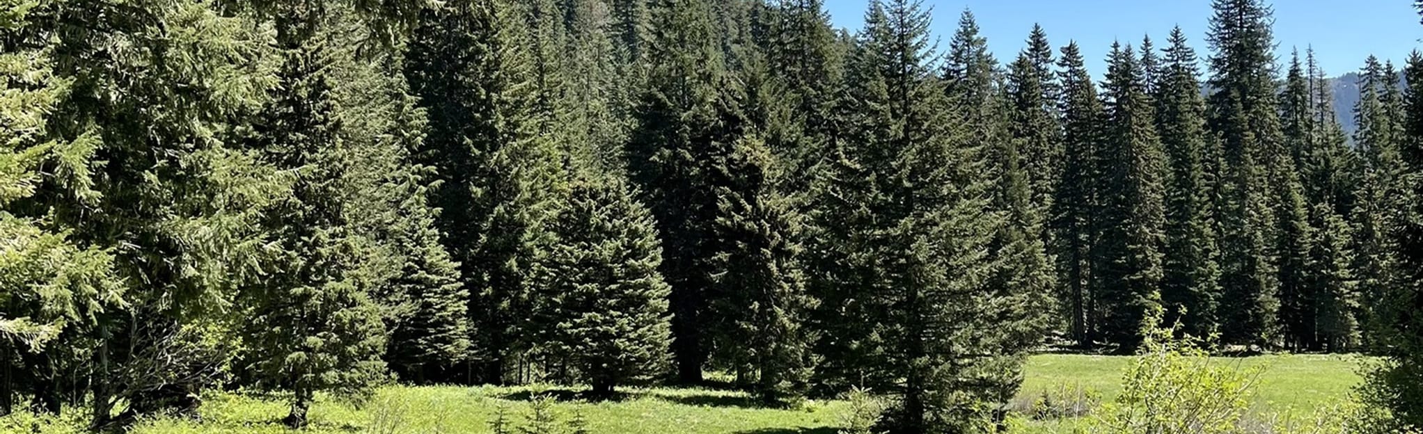 Tombstone Prairie Nature Trail: 8 Reviews, Map - Oregon | AllTrails