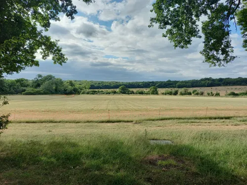 2023 Best Paddle Sports Trails in Chigwell | AllTrails