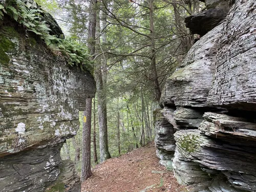 Best Hikes and Trails in Little Pine State Park | AllTrails