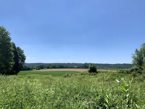 Best Hikes and Trails in Exton Park | AllTrails