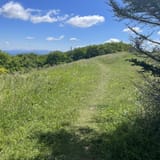 Thunder Ridge via Appalachian Trail, Virginia - 269 Reviews, Map ...