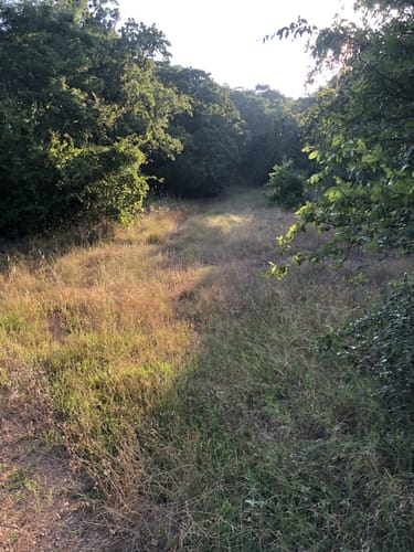 Best Hikes and Trails in Blue River Public Fishing & Hunting Area ...