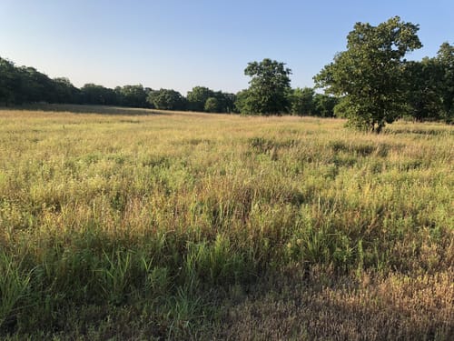 Best Hikes and Trails in Blue River Public Fishing & Hunting Area ...