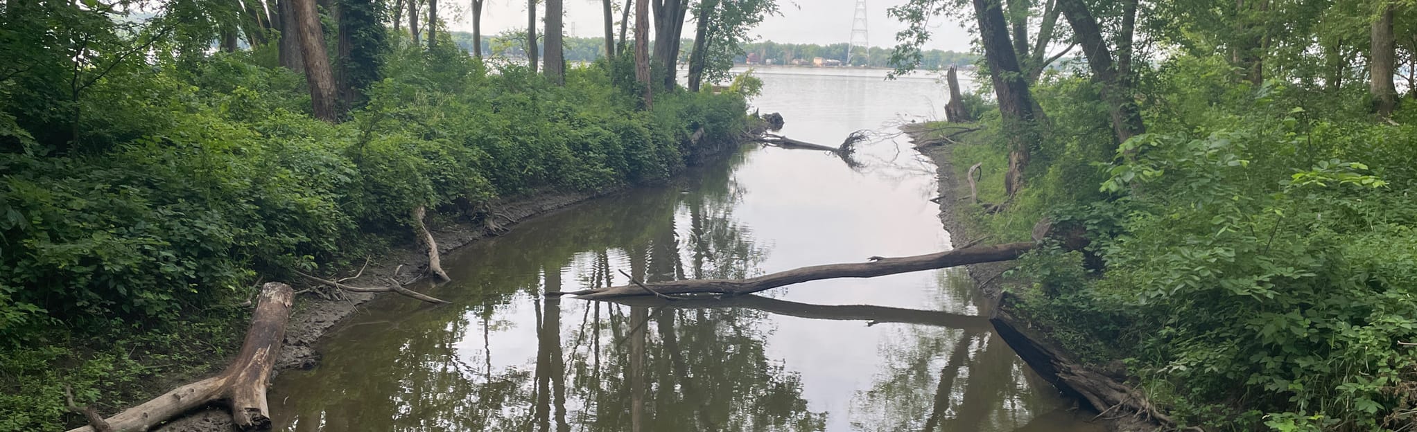 Pigeon Creek Park Trail, Iowa - 37 Reviews, Map | AllTrails