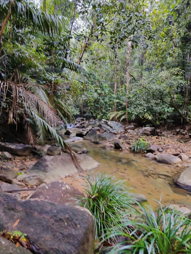 2023 Best Trails near Gunung Chemendong | AllTrails