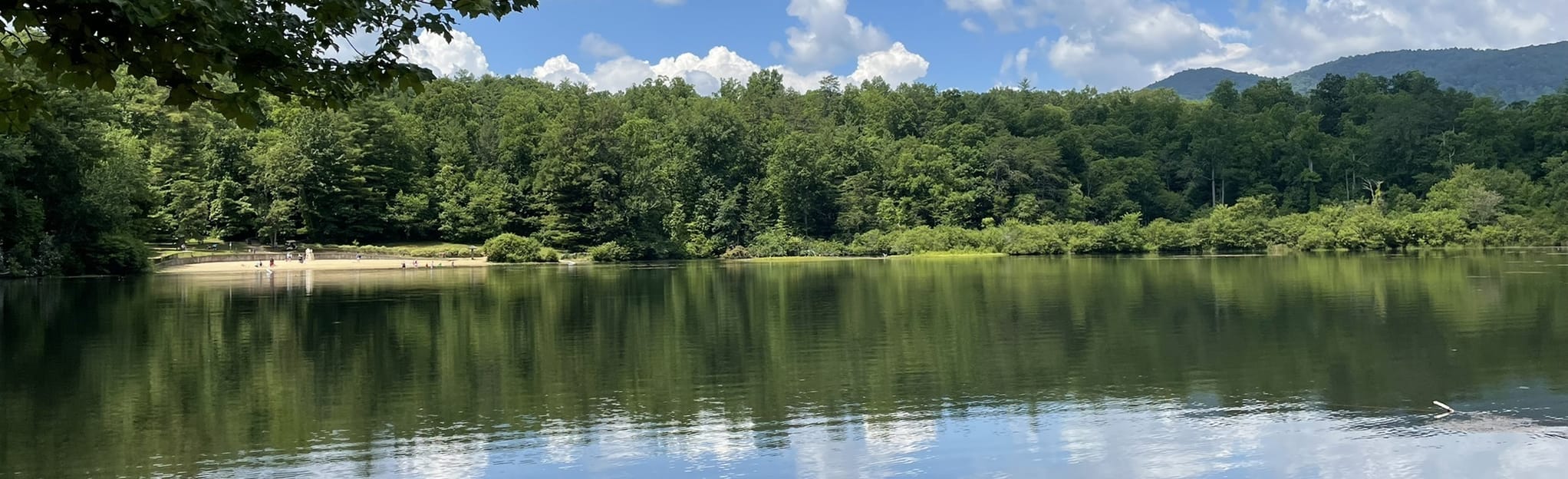 Homestead, Small Creek, Deerfield, Pine Tree and Explorer Loop: 293 ...