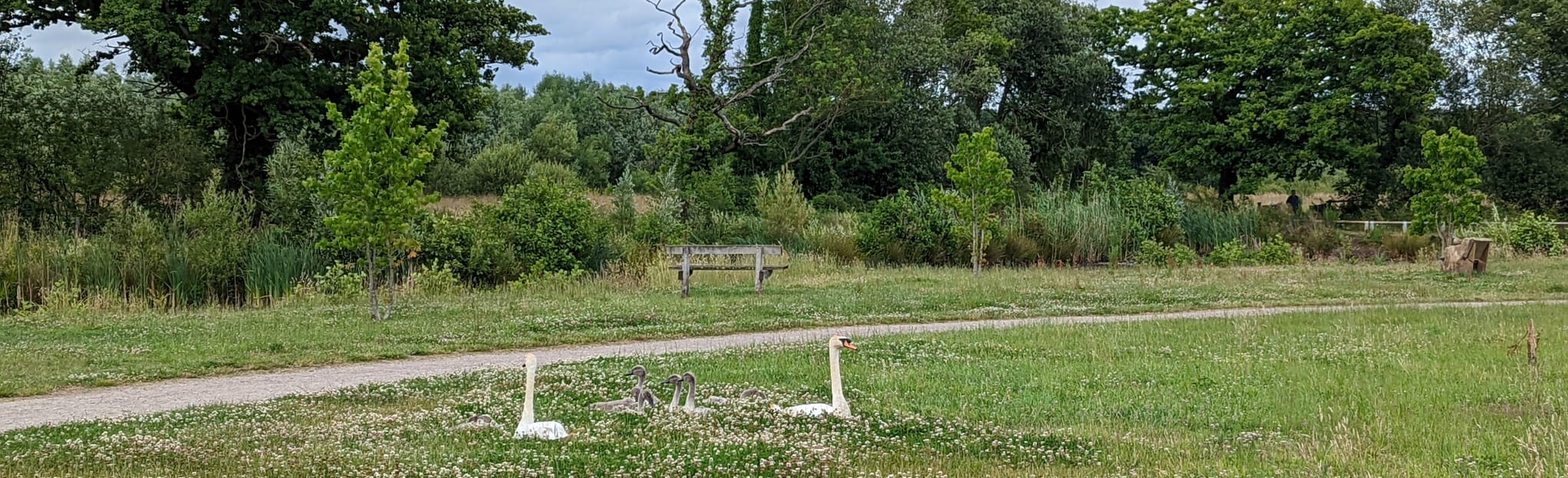 Edenbrook Country Park Circlular: 19 Reviews, Map - Hampshire, England ...