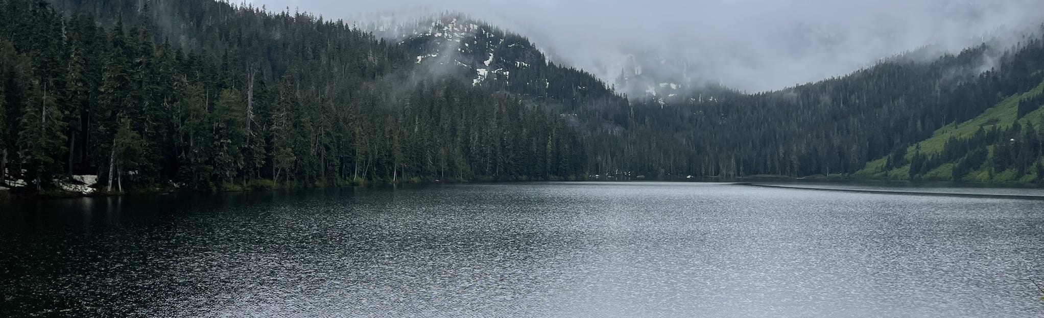 Heather Lake Trail #1526: 74 Reviews, Map - Washington | AllTrails