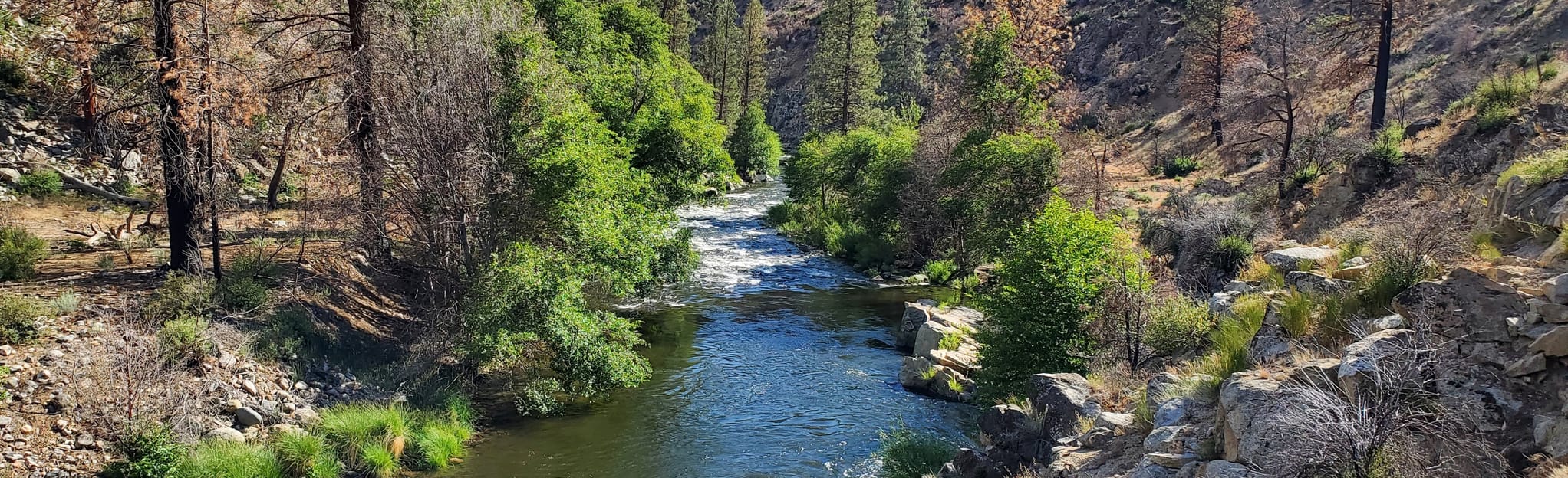 Forks of the Kern Trail to Painters Camp, California - 16 Reviews, Map ...