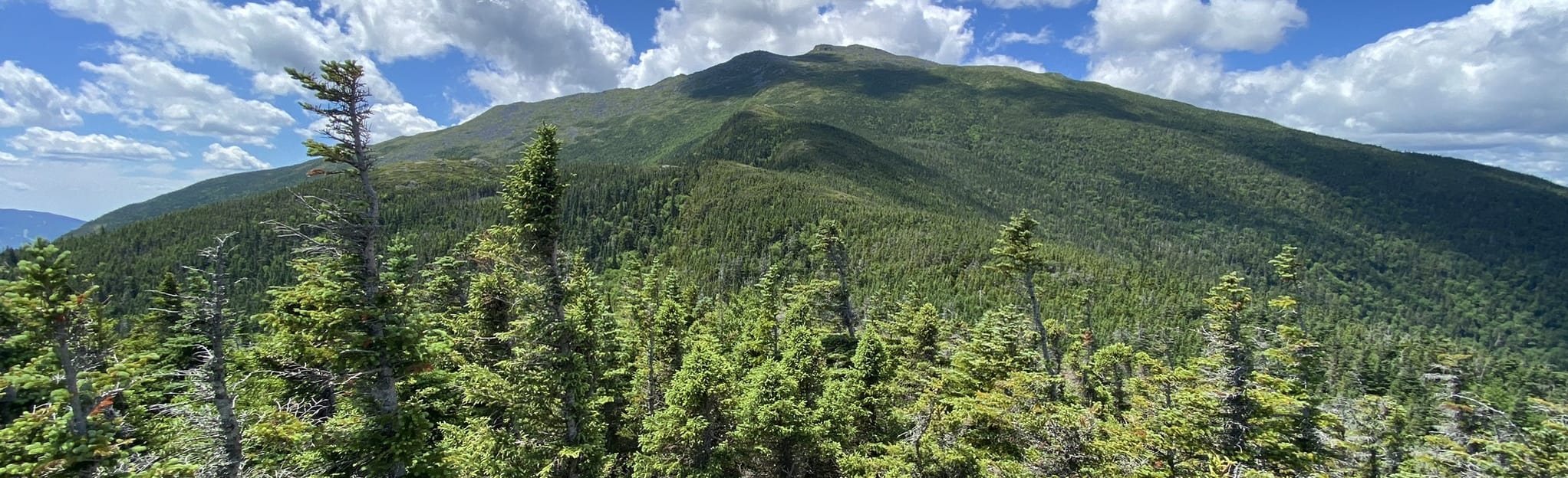 Mount Adams and Madison Loop: 172 Reviews, Map - New Hampshire | AllTrails