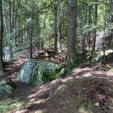 Inman Pond Trail, New York - 246 Reviews, Map | AllTrails