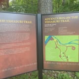 Catawba Cultural Center Trail, South Carolina - 80 Reviews, Map | AllTrails