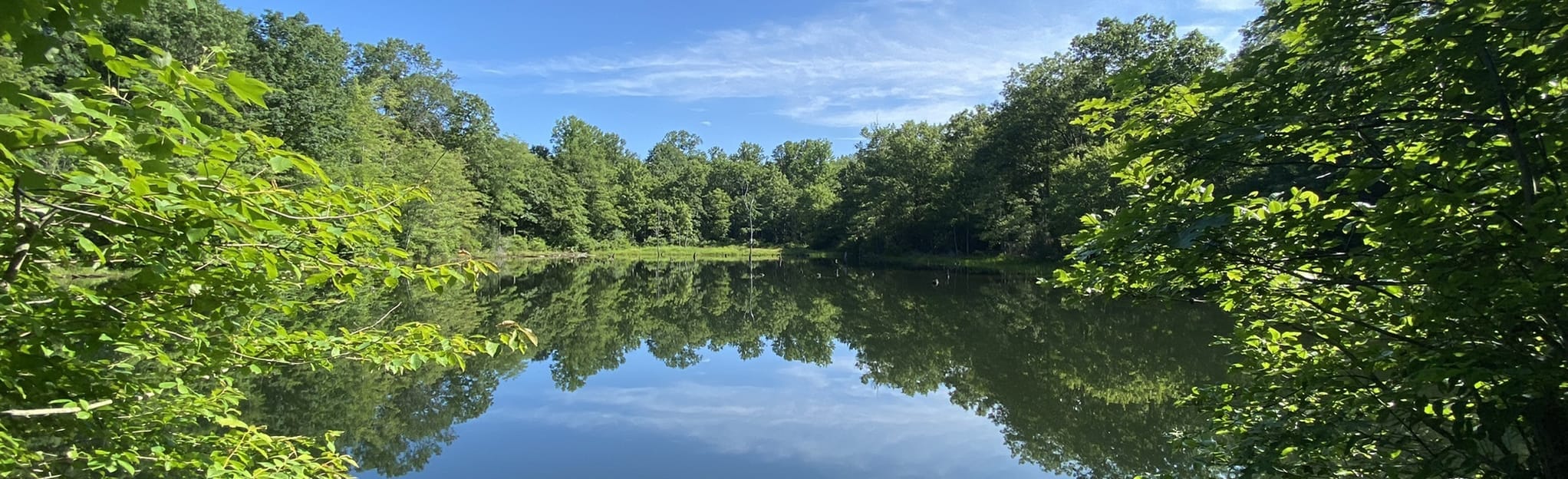 The Pit Loop : 52 Reviews, Map - Maryland | AllTrails