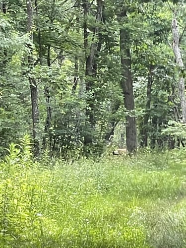 Best Hikes and Trails in Standing Rock Park | AllTrails