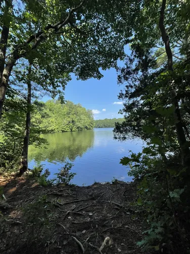 Best Hikes and Trails in Lake Johnson Nature Park | AllTrails